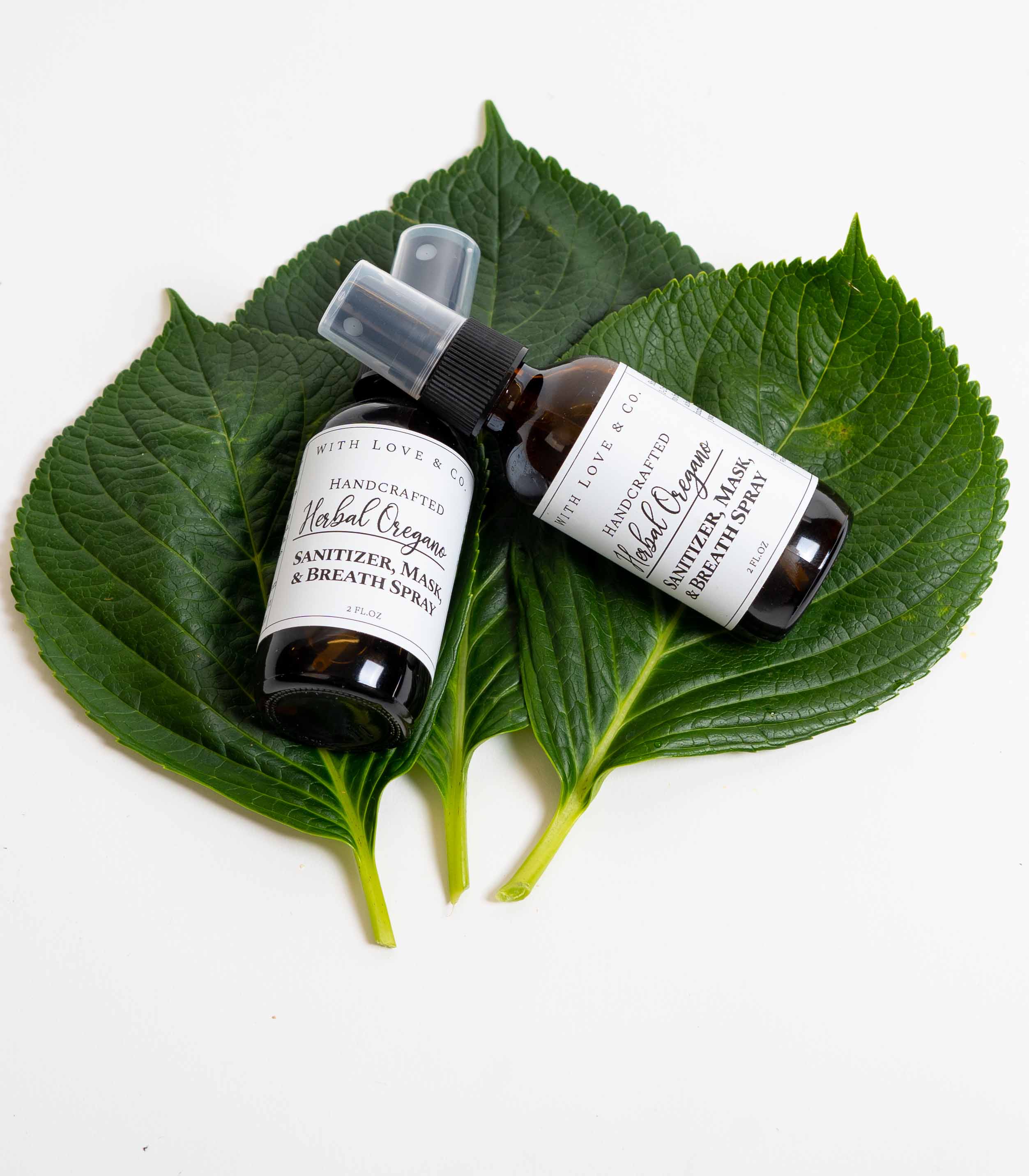 Herbal Oregano Spray - Embrace Nature's Healing Touch | With Love and ...